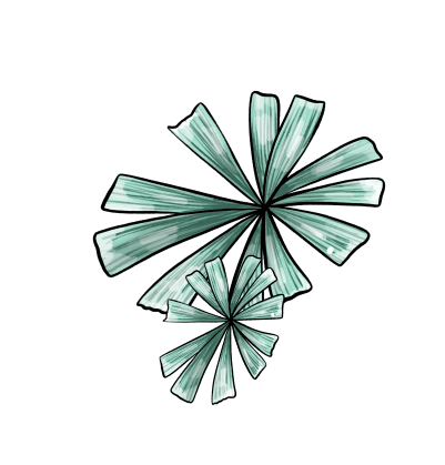 Hack The Future | Jungle Expedition